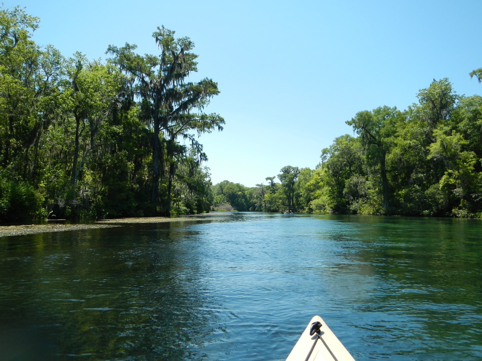Florida - Coast to Coast to Coast: Kayaking on the Wakulla River