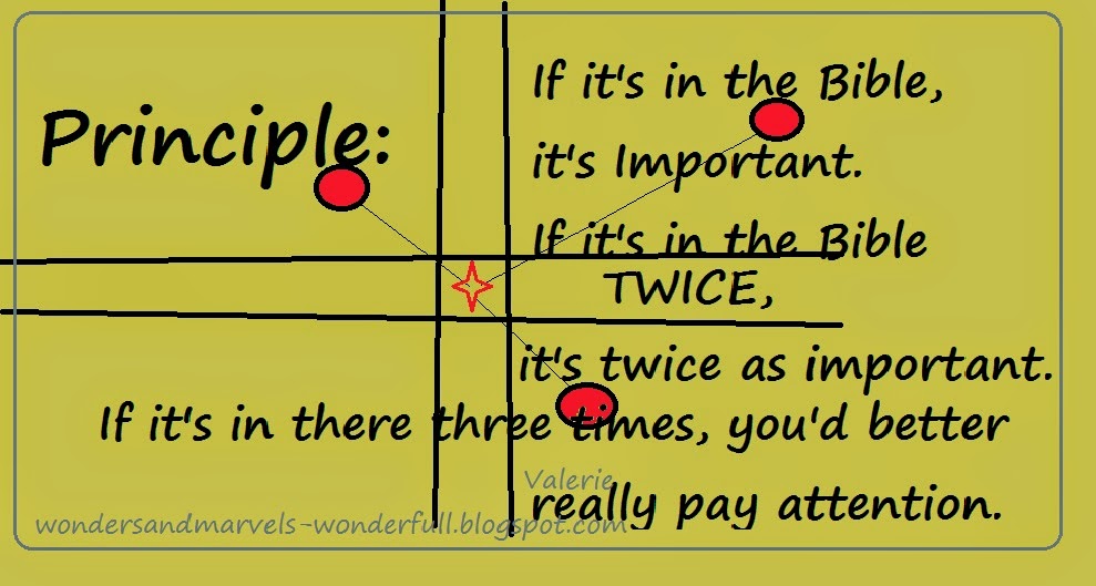 wonderFULL: Words on Wednesday: Just a Few Books