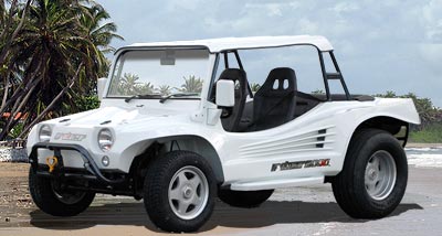 LeoSuperCars: BUGGY FYBER: O mais comprado no Brasil