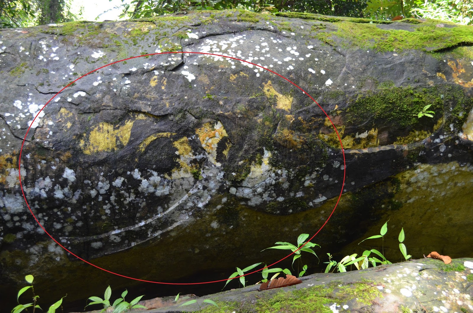 MYSTERY OF BATU NABAU IN ENGKILILI SARAWAK: March 2016