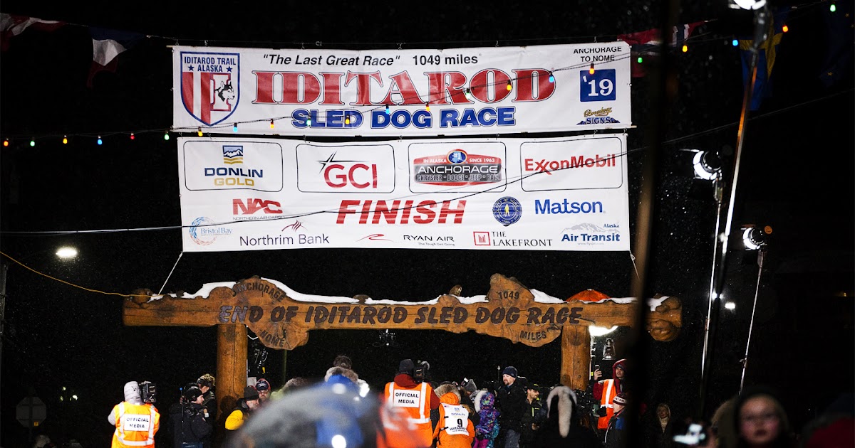 Reitter's Block: Iditarod 2020 Top Ten