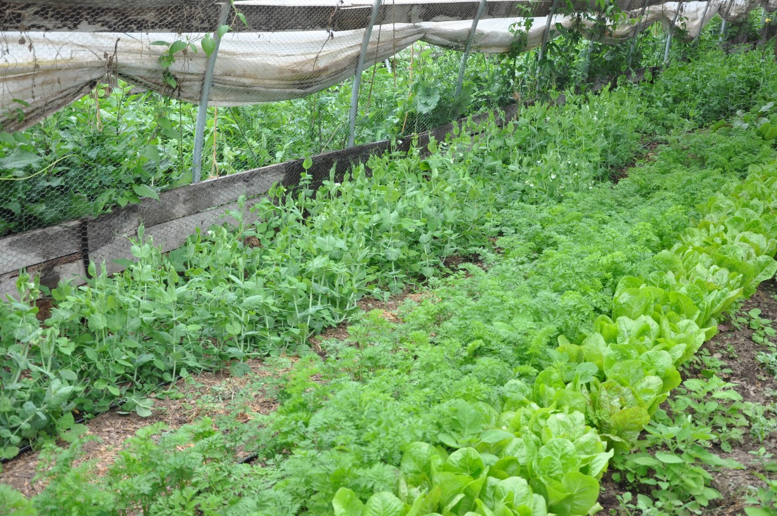 Frontier Farm: The way it should be done.. by the man they call "The ...