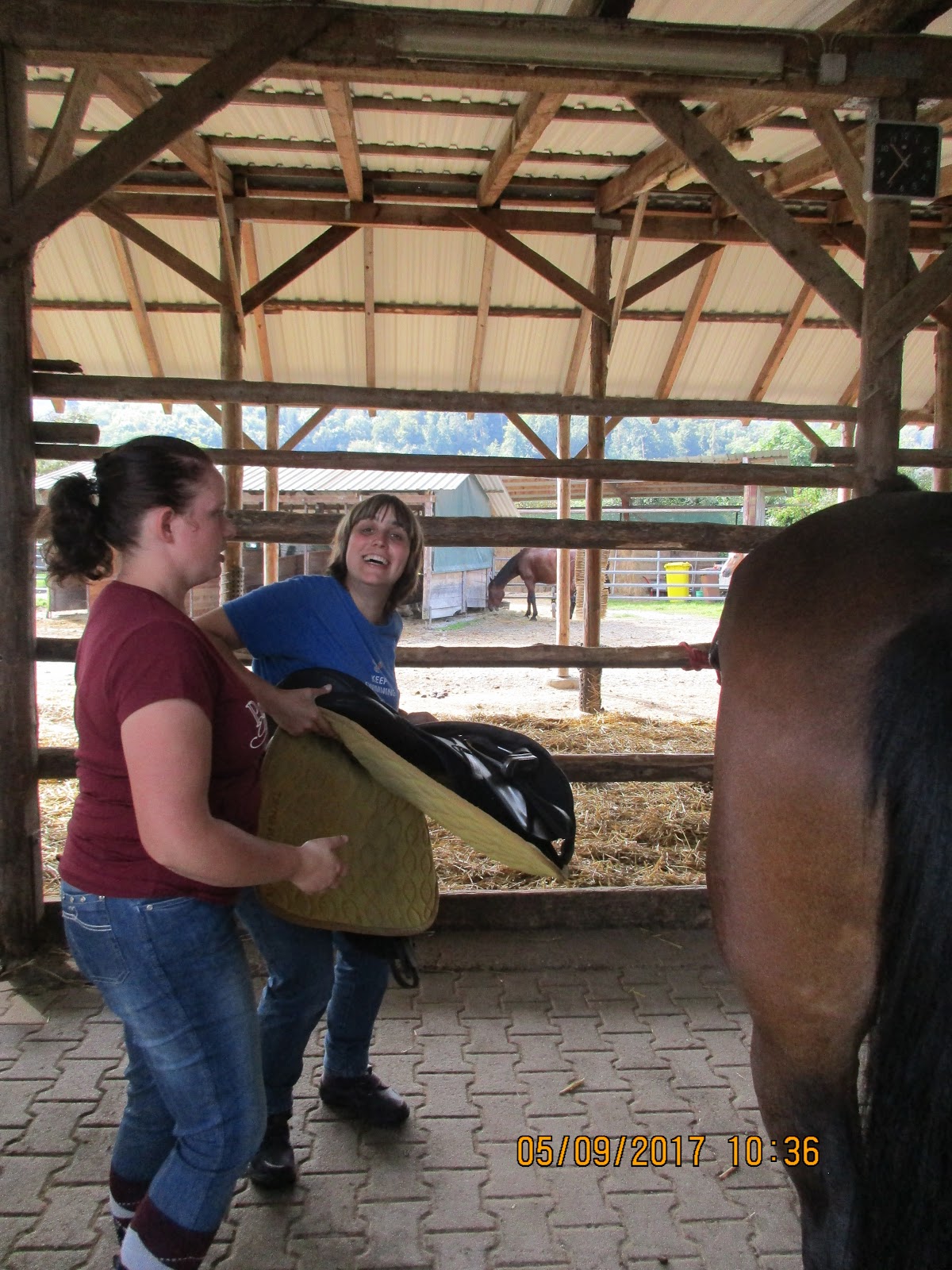 Reitfreizeit im Wilhelm-Traub Haus : Tag 5