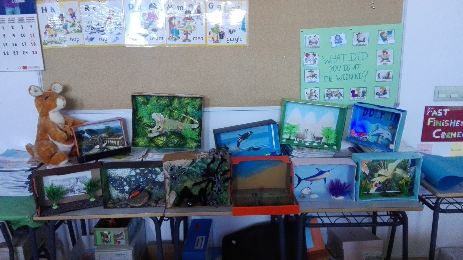 MY LITTLE WONDERLAND: Show and tell: Natural Science Project