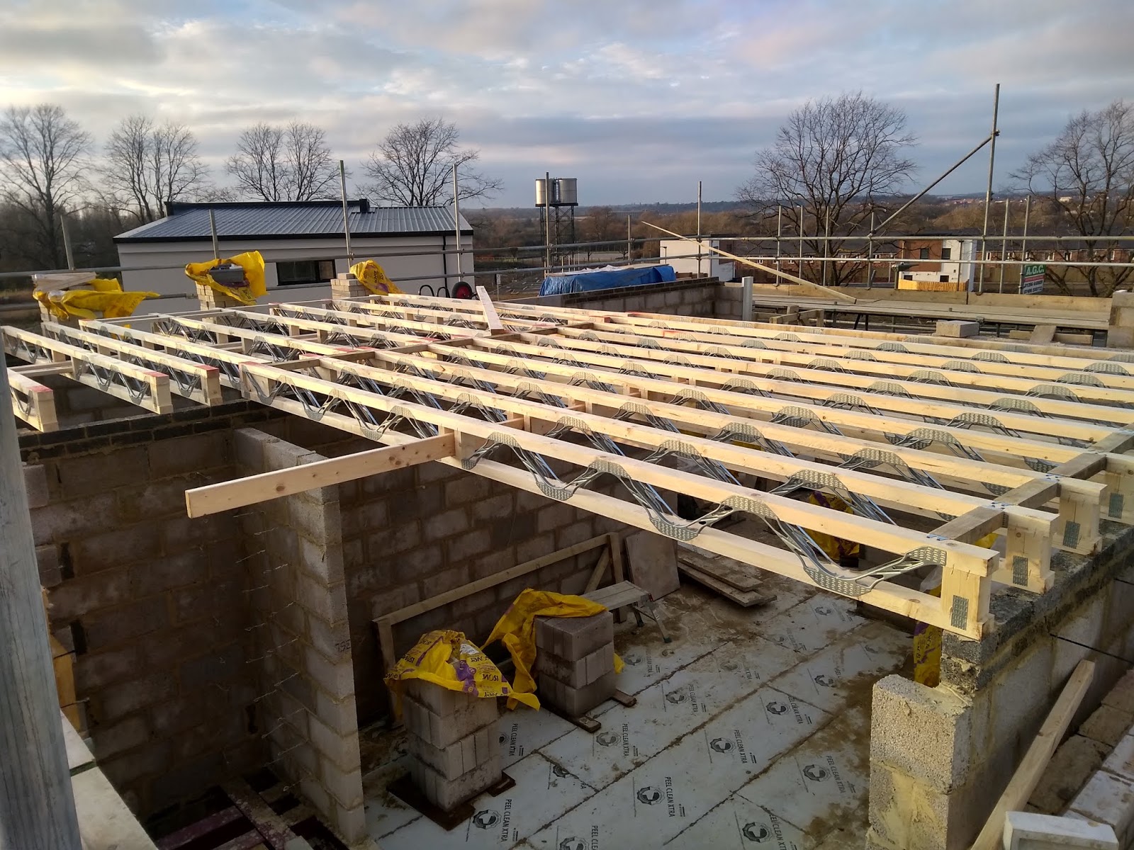 Christine's blog: Back to the noggins