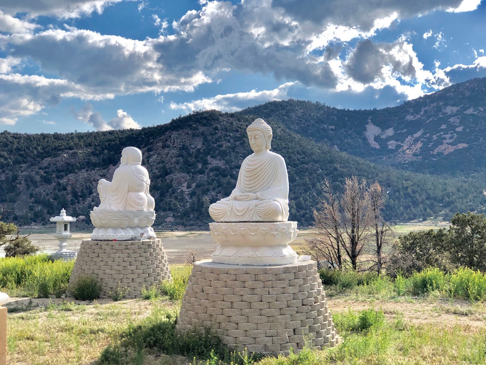 Buddhist Meditation Article Series - 2 - Dhamma USA