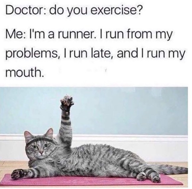 20 Cat Memes To Make You Laugh Until You Cry