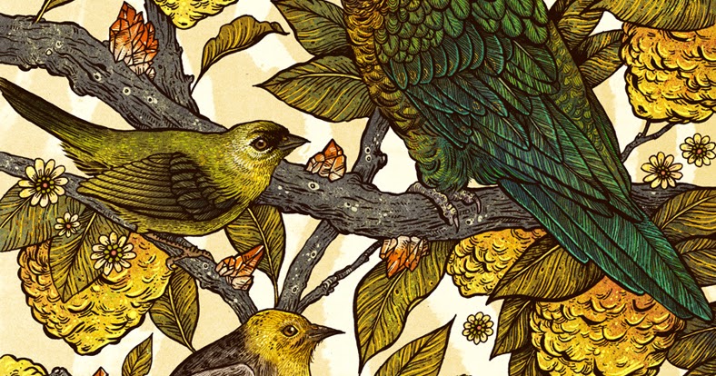 Pinzellades al món: Els ocells il·lustrats per Angela Rizza