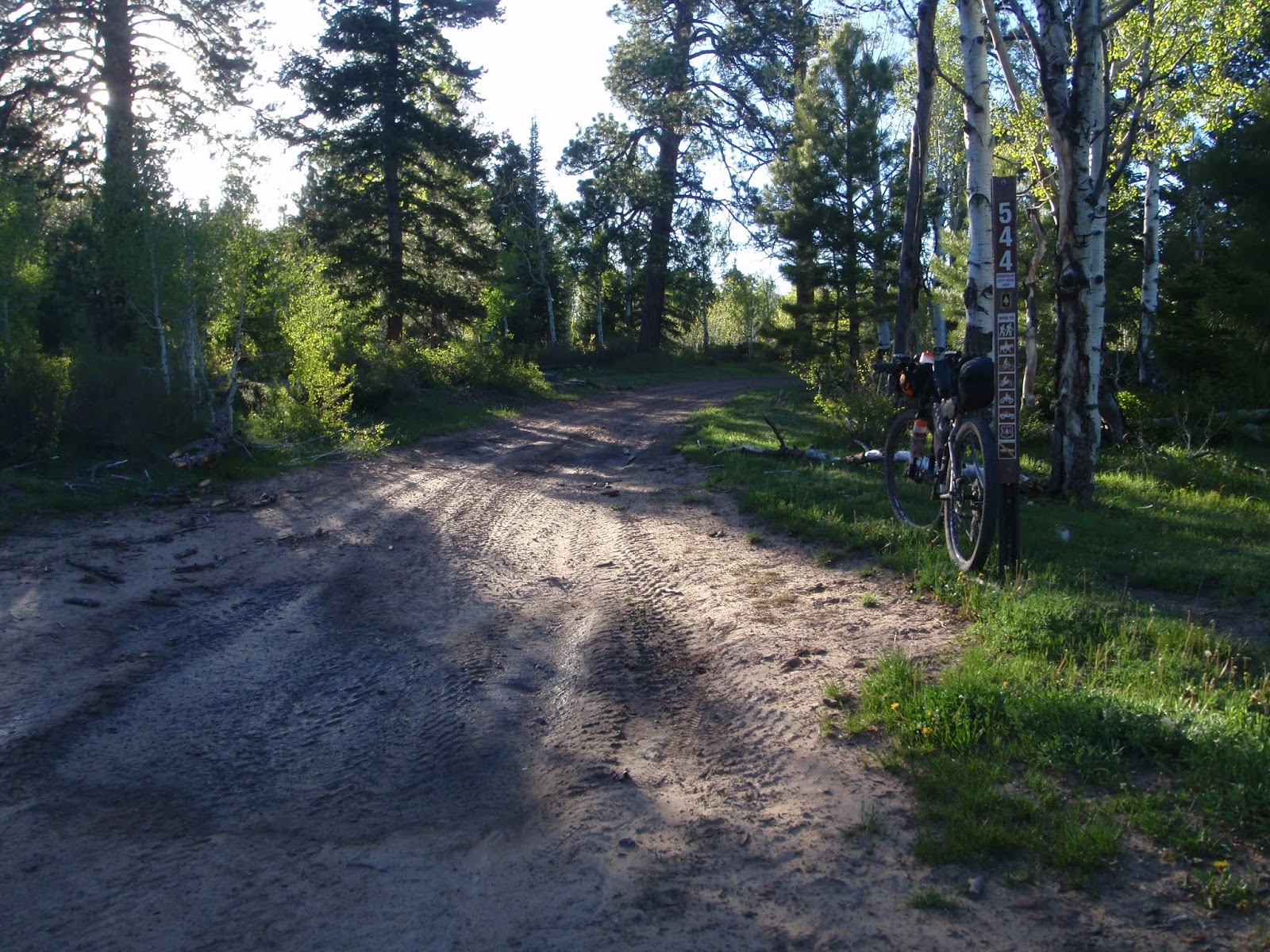 Zips Spot: A Grand-er Loop