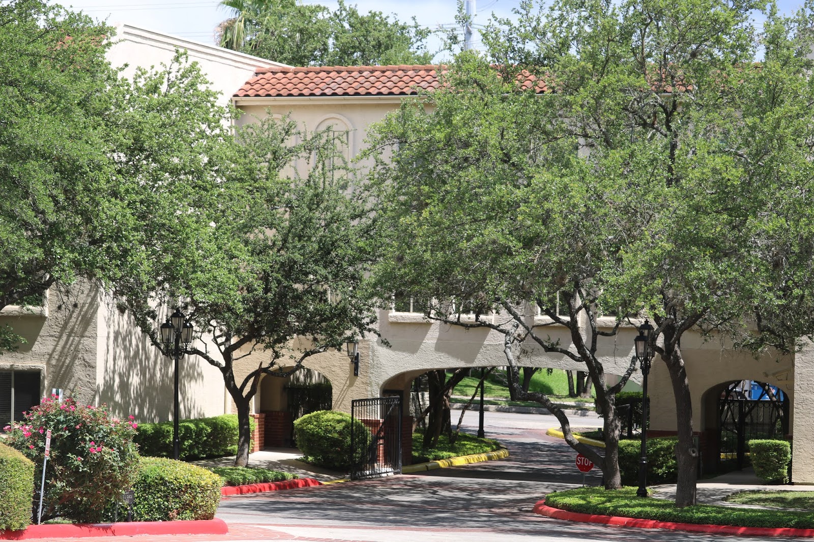 Walker Report - Shedding Light on Bexar County: More scenic photos of ...