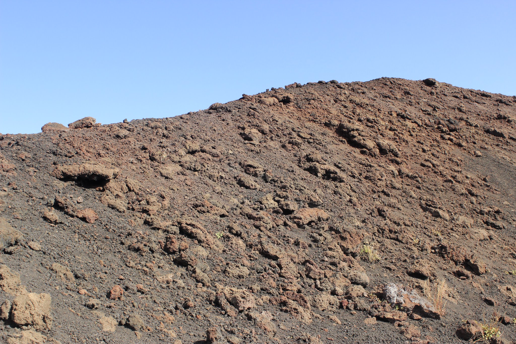 Vino Travels ~ An Italian Wine Blog: September 2020