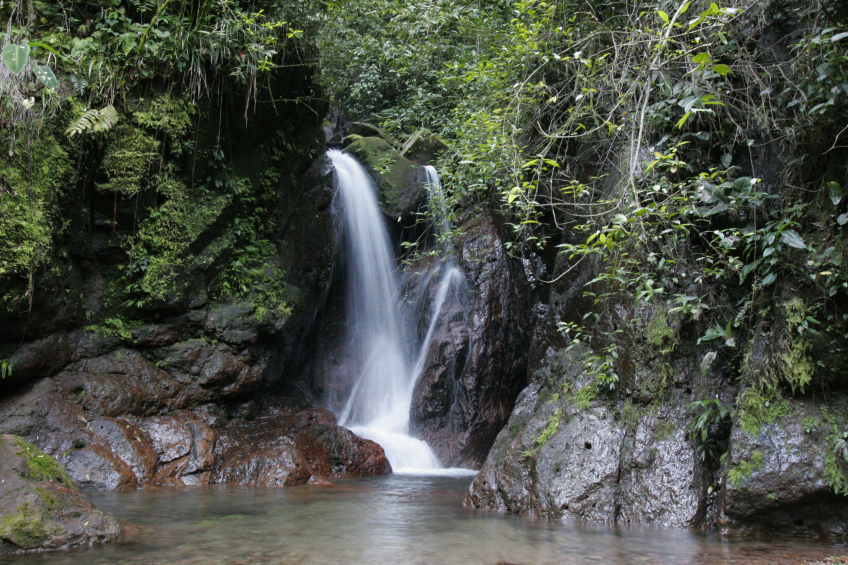 Vamos a Panacam Lodge