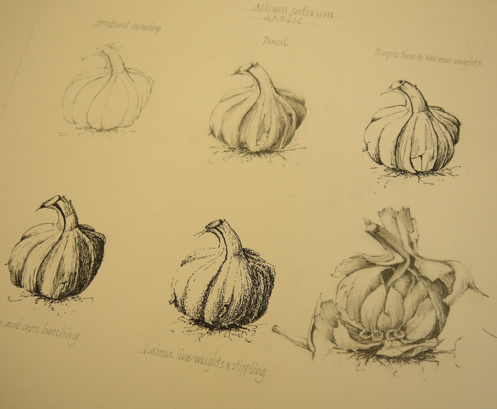 Pen and Ink Calligraphy: CLAS Festival of Calligraphy 2016