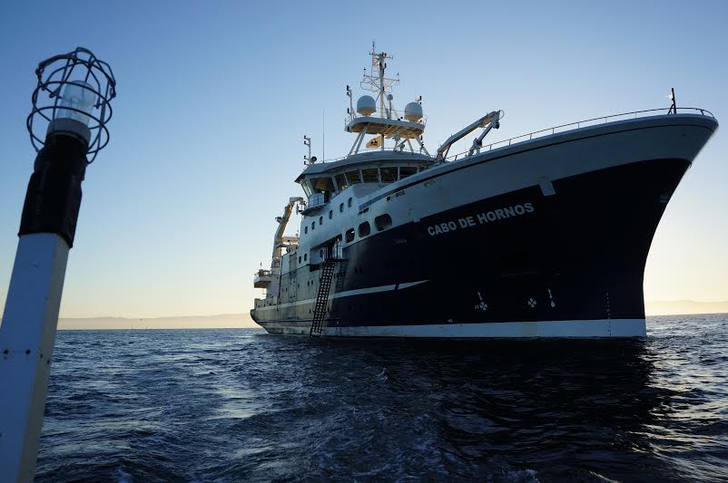 Así Surgen...: IFOP realiza crucero científico para evaluar la merluza ...