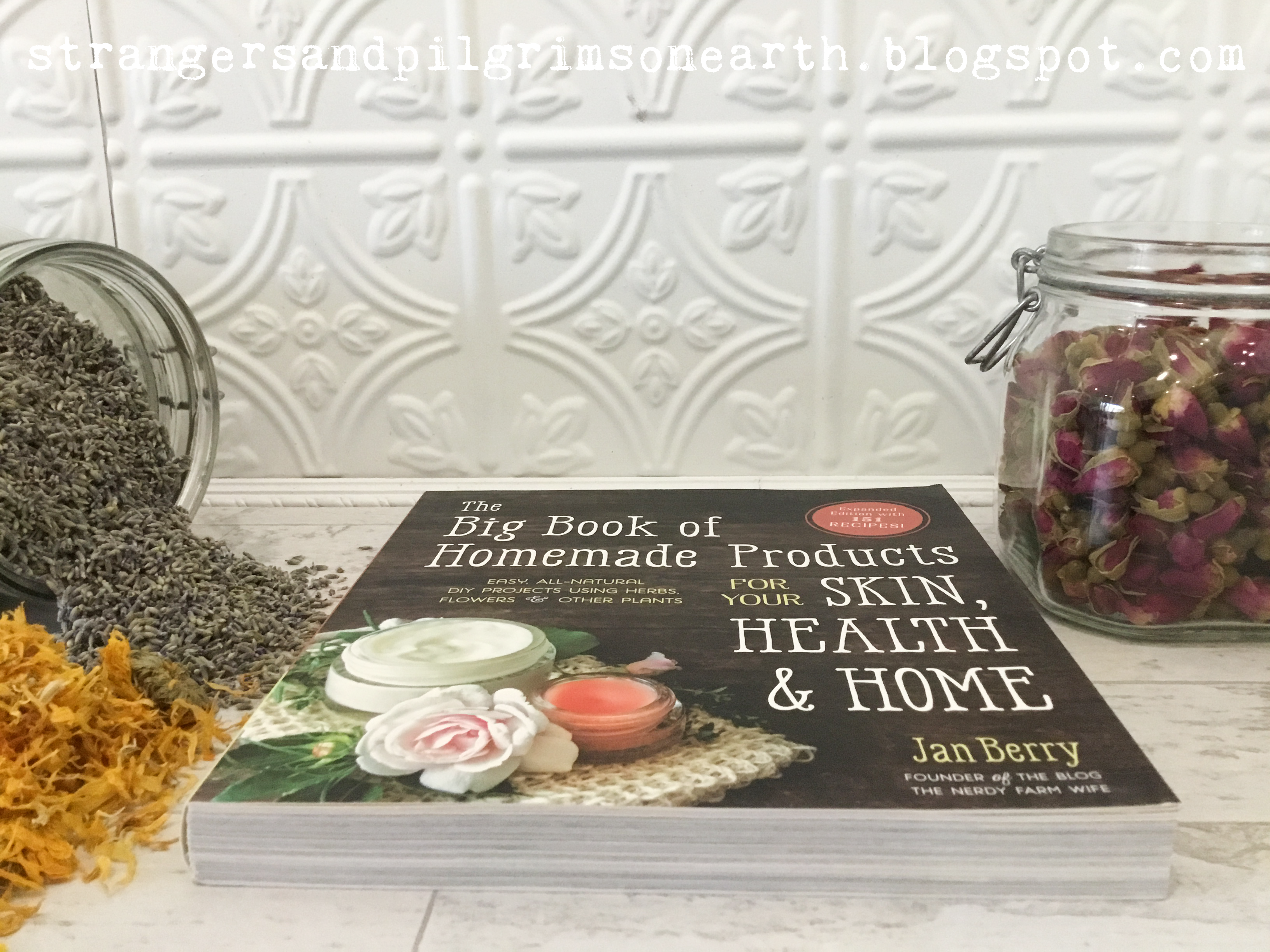 Strangers & Pilgrims on Earth: Beloved Book Giveaway ~ The Big Book of ...