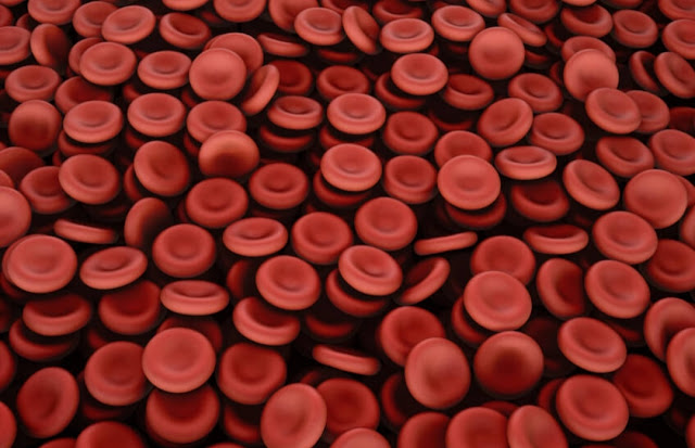 Limfosit - Definisi, Konsep dan Apa itu - DWI PURWANTO