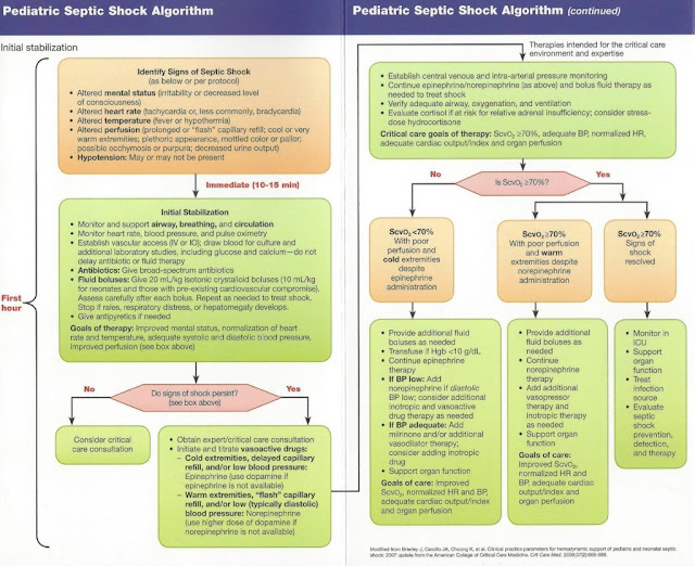 PALS(PEDIATRIC ADVANCED LIFE SUPPORT) ALGORITHMS