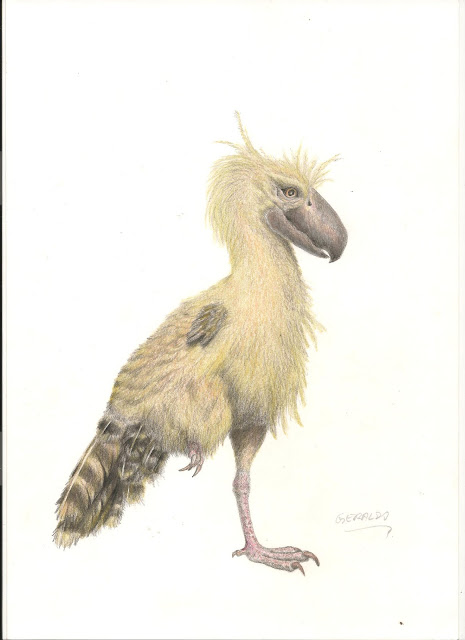 Prehistoric Birds of Brazil : 4. Prehistoric Birds Of Brazil