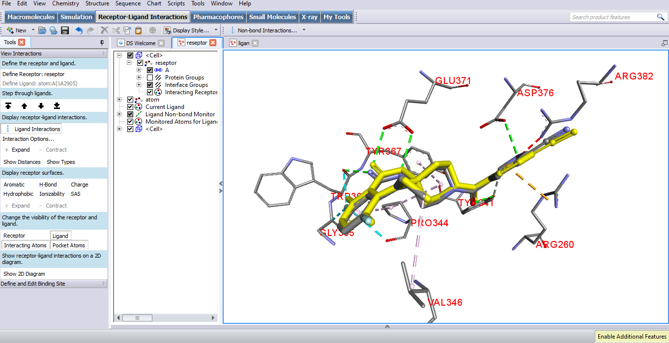 Tutorial Lengkap Molecular Docking