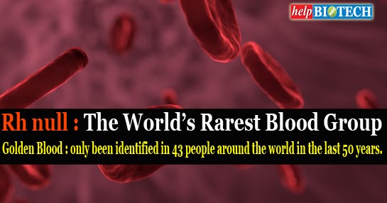 Rh null: The World's Rarest Blood Group