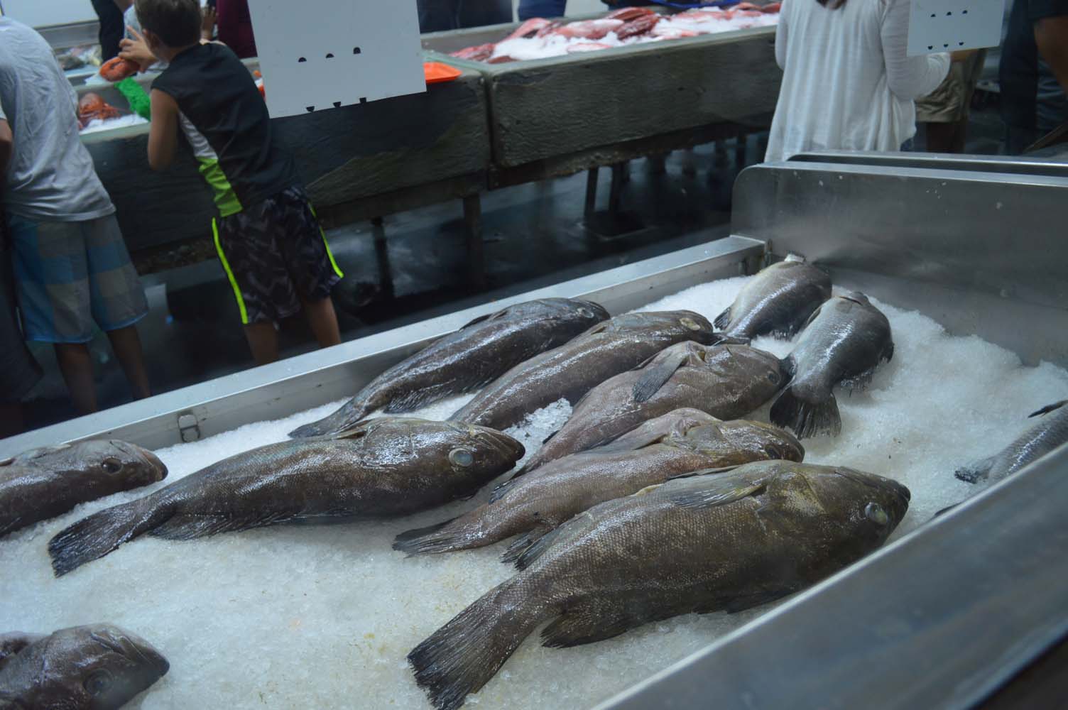 Feast on Fresh Seafood at the World Famous San Pedro Fish Market!