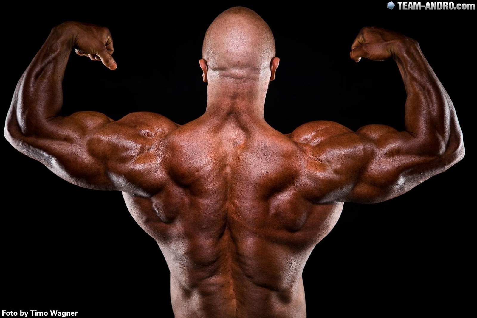 Muscle Lover: German muscle beast Tobias Hahne