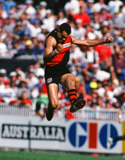 Beside the Yarra: The VFL/AFL Grand Final: A Pictorial History