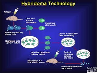 lebioging.blogspot.com: BIOTEKNOLOGI