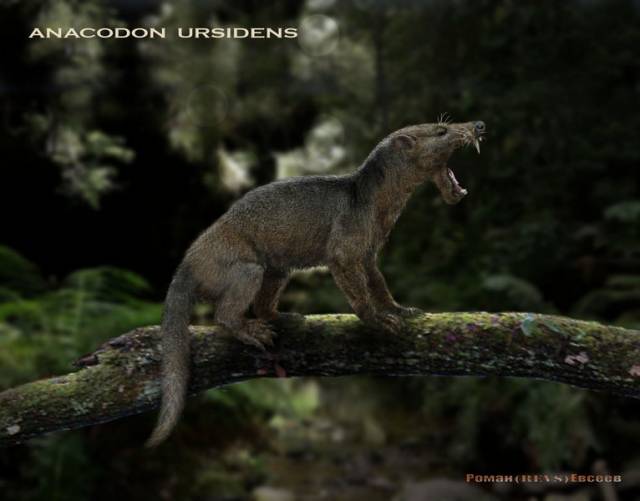Escenarios prehistóricos: Anacodon