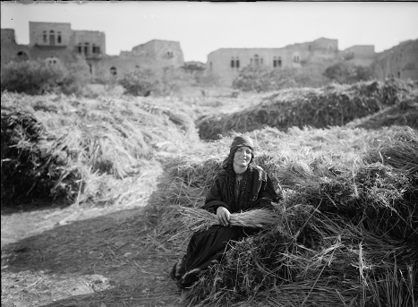 For Shavuot: Book of Ruth Recreated 100 Years Ago | Israel National News