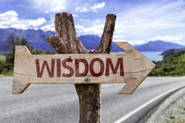 Lesson #230: Evolve From Selling 'Widgets' to 'Wisdom' | Red Rocket ...