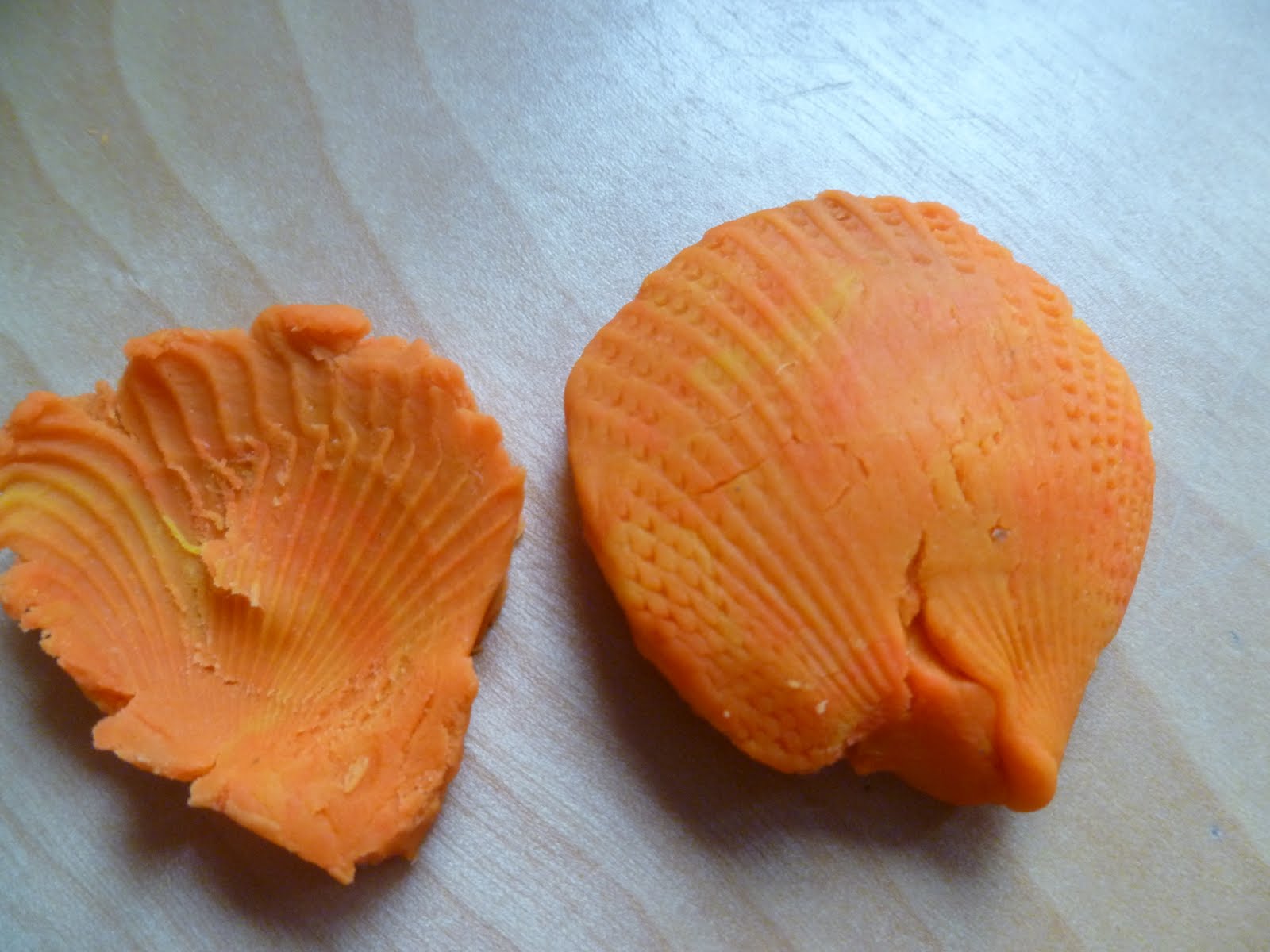 SHELLS! COLLECTING, STUDYING, CLASSIFYING THEM AND CRAFTS - Mama to 6 ...