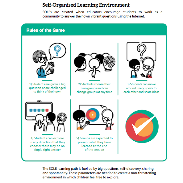 Guest Blog - Self Organised Learning Environment (SOLE)