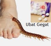 Anim Agro Technology: LIPAN DAN LIPAN BARA