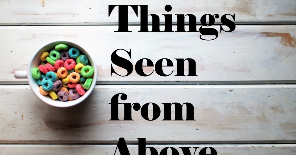 Blue Binder Lessons: Things Seen from Above novel study