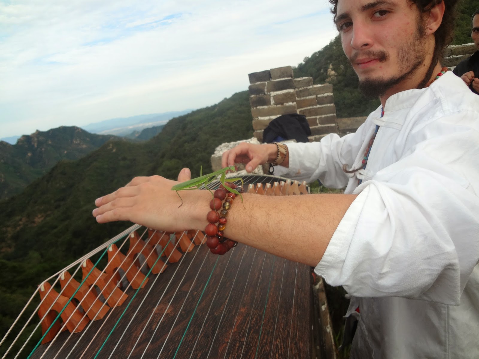 UNATE / ABAN: Daniel Fialho - Terapeuta TACAI / 2008 e Formação na ...