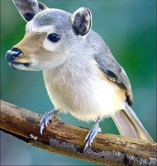 World's All Amazing Things, Pictures,Images And Wallpapers: Unreal ...