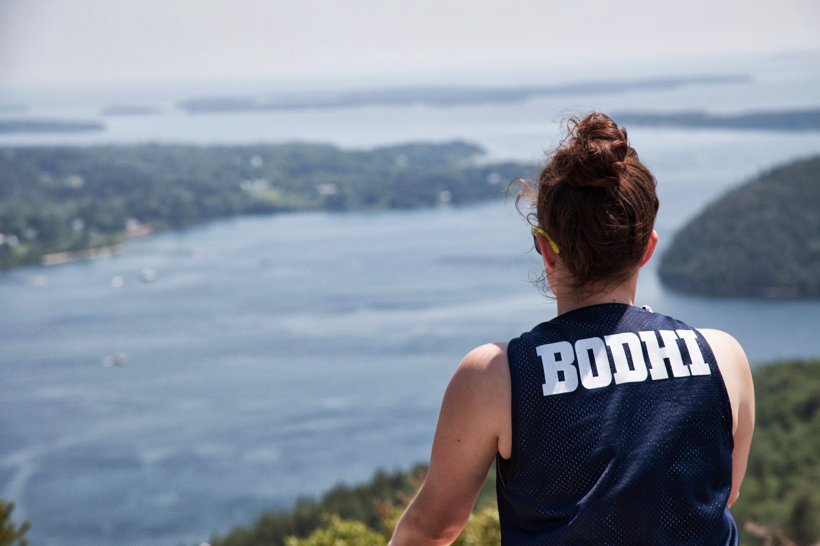 Acadia National Park | Bear Count