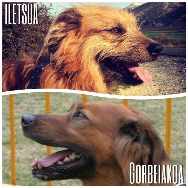 Euskal Etxea Rio Grande do Sul