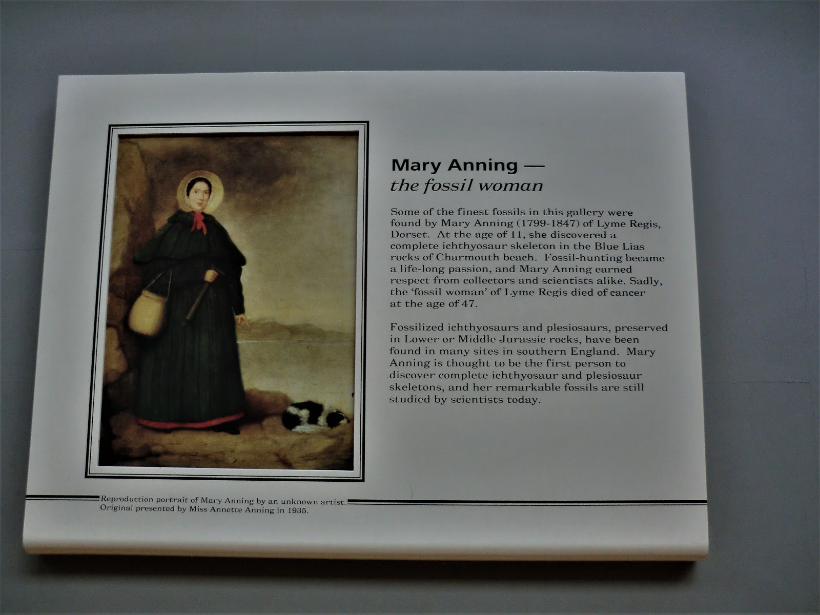 MineralesDB: Mary Anning, pionera de la paleontología