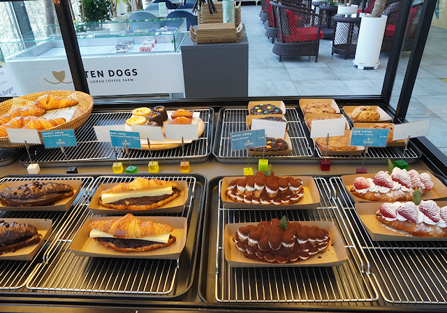 Cafe to Visit with Your Dog (Ten Dogs) 텐독스