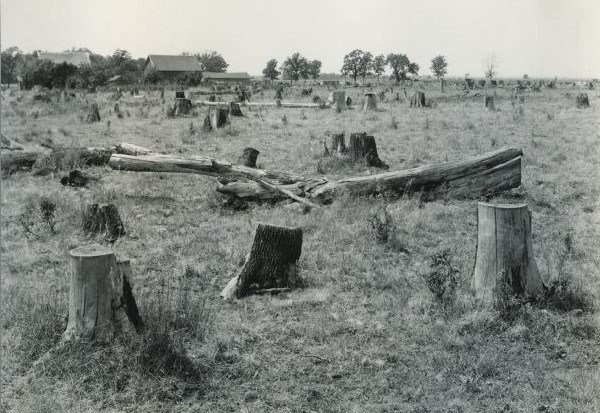 HESCH HISTORY: Farming with Dynamite