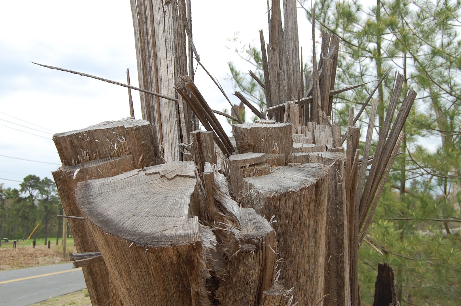 Hell's Acres: Spitting to All Fields, Part 6