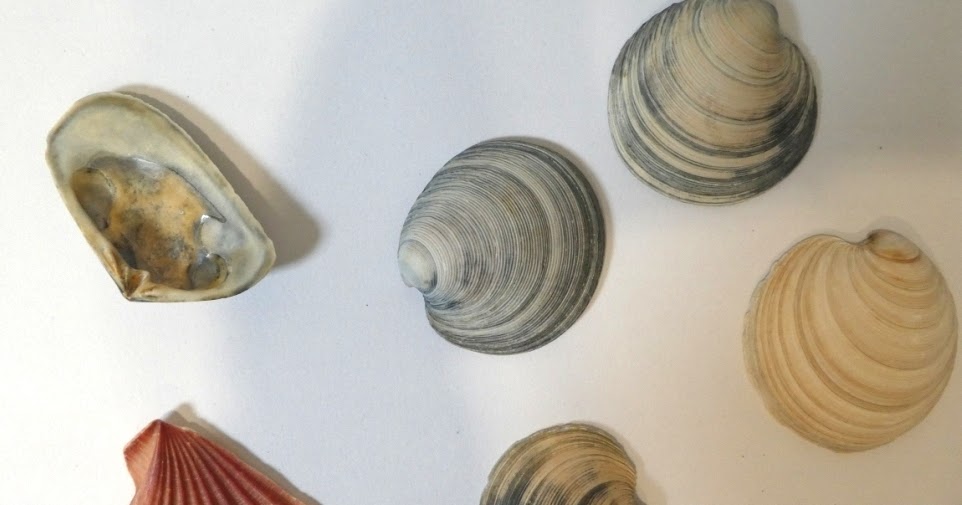 newly creative: Jean Draper