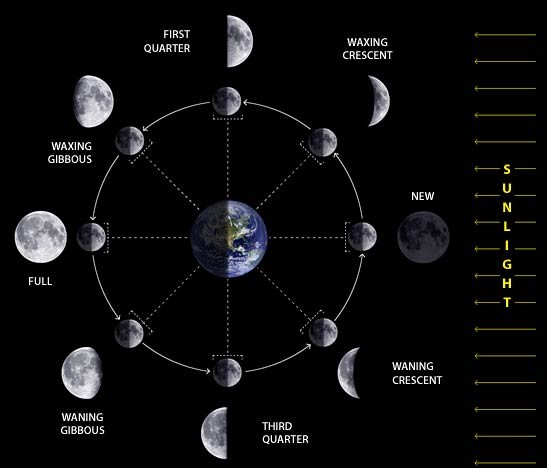 Moon | Full moon | Moon shapes | Ask Me Anything | sciencefact ...