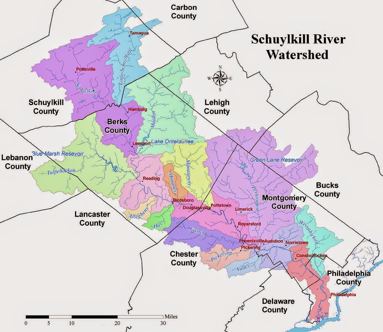 Digital Notebook: The Trail Leads to What Ales You