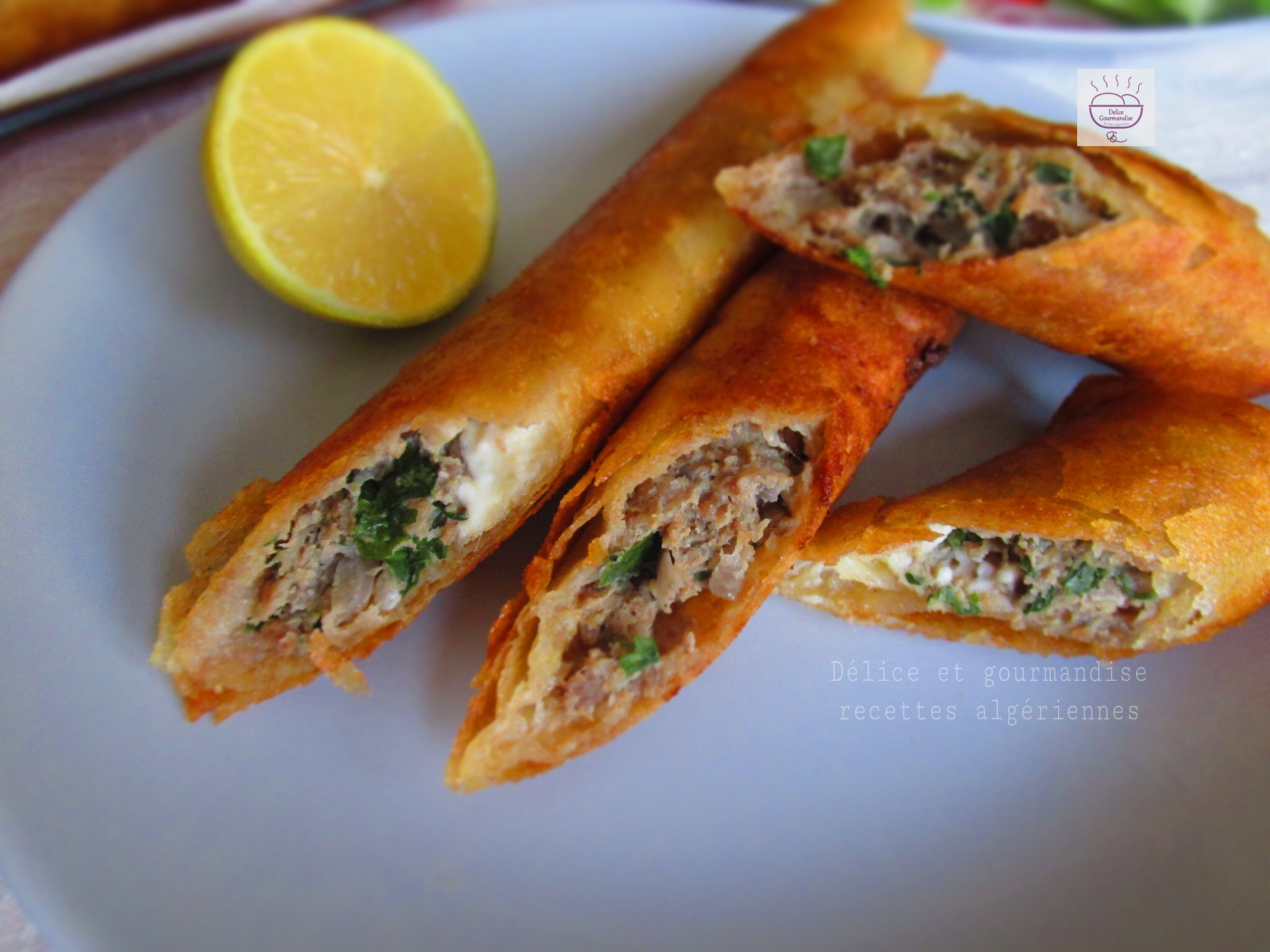 Recette inédite de BOUREK bourak rapide à la viande haché بوراك باللحم