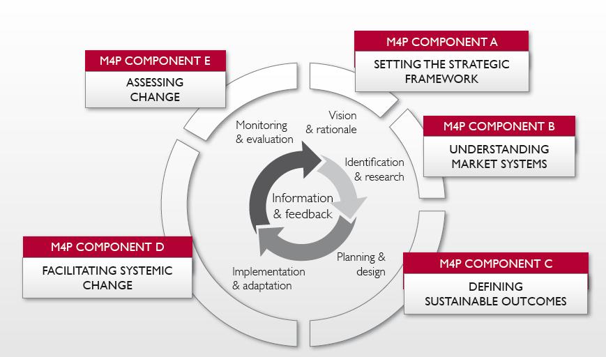 M4P Facilitation Tanzania: Intervention Process and Cycle in M4P