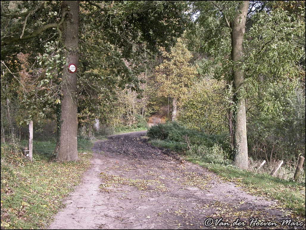 Landelijk Aaigem: Wandeling naar Ressegembos