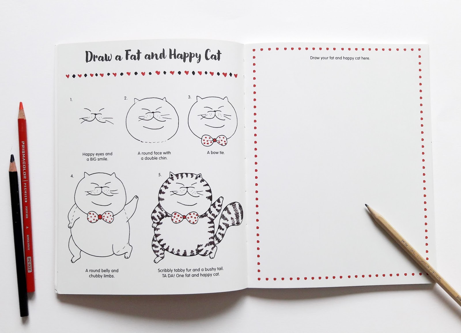 Lulu Mayo: Cattitude: Drawing Cats for Creative People By Lulu Mayo